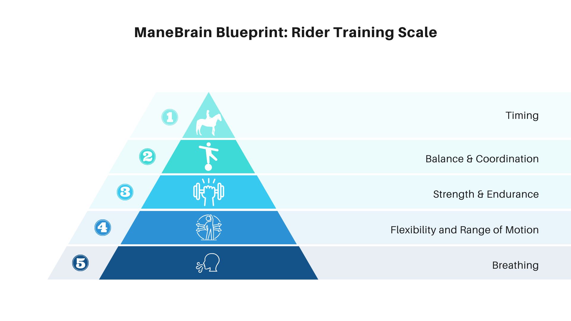 Training Scale - Anchored Seat